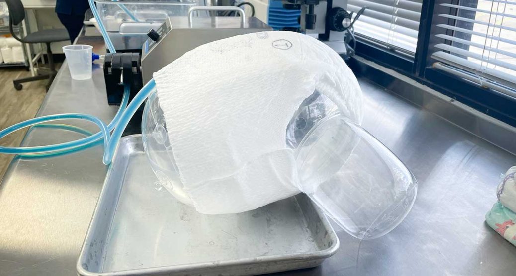 Independent, On-Demand Diaper Testing - Diaper Testing International